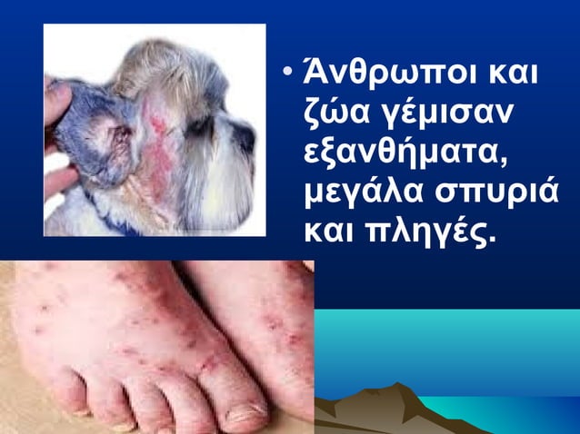 Οι δέκα πληγές του Φαραώ | PPT