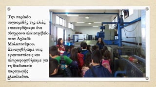 επίσκεψη σε ελαιοτριβείο | PPTX
