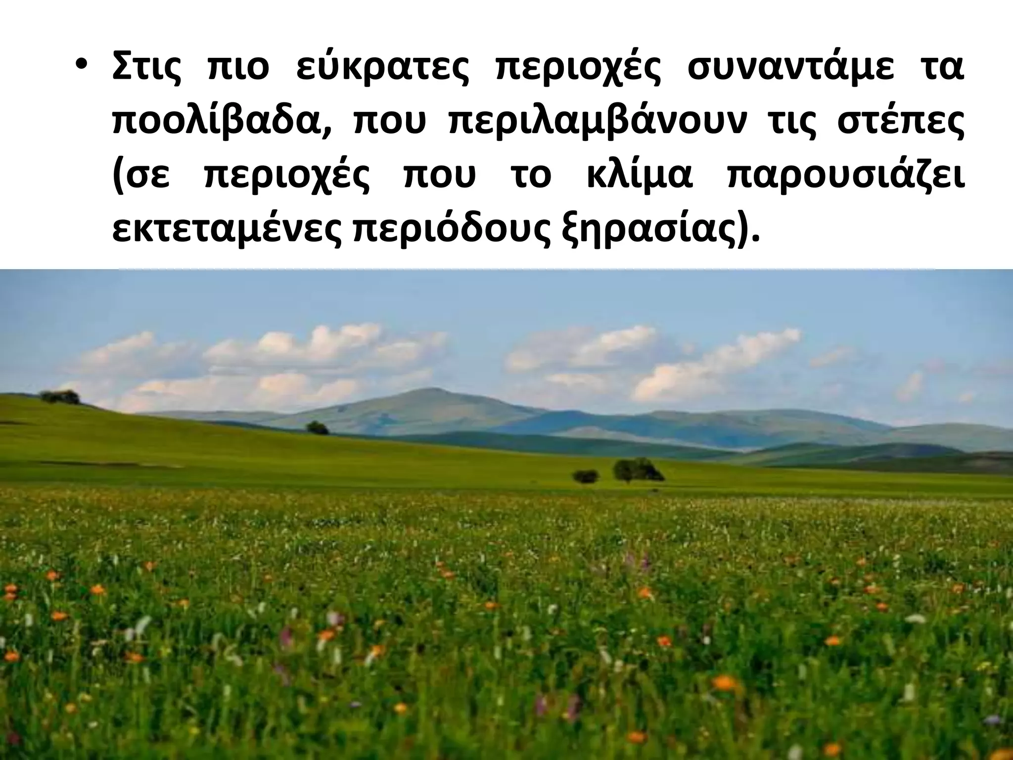 στεπα | PPT