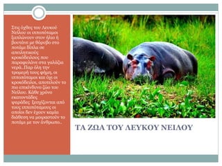 ΝΕΙΛΟΣ | PPTX