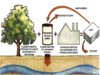 ανακυκλωση χαρτιου | PPT