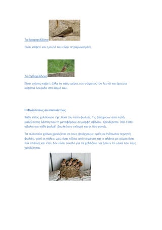 τα χελιδόνια | PDF