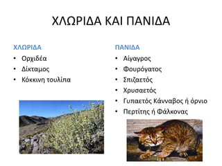 Λευκα ορη | PPT