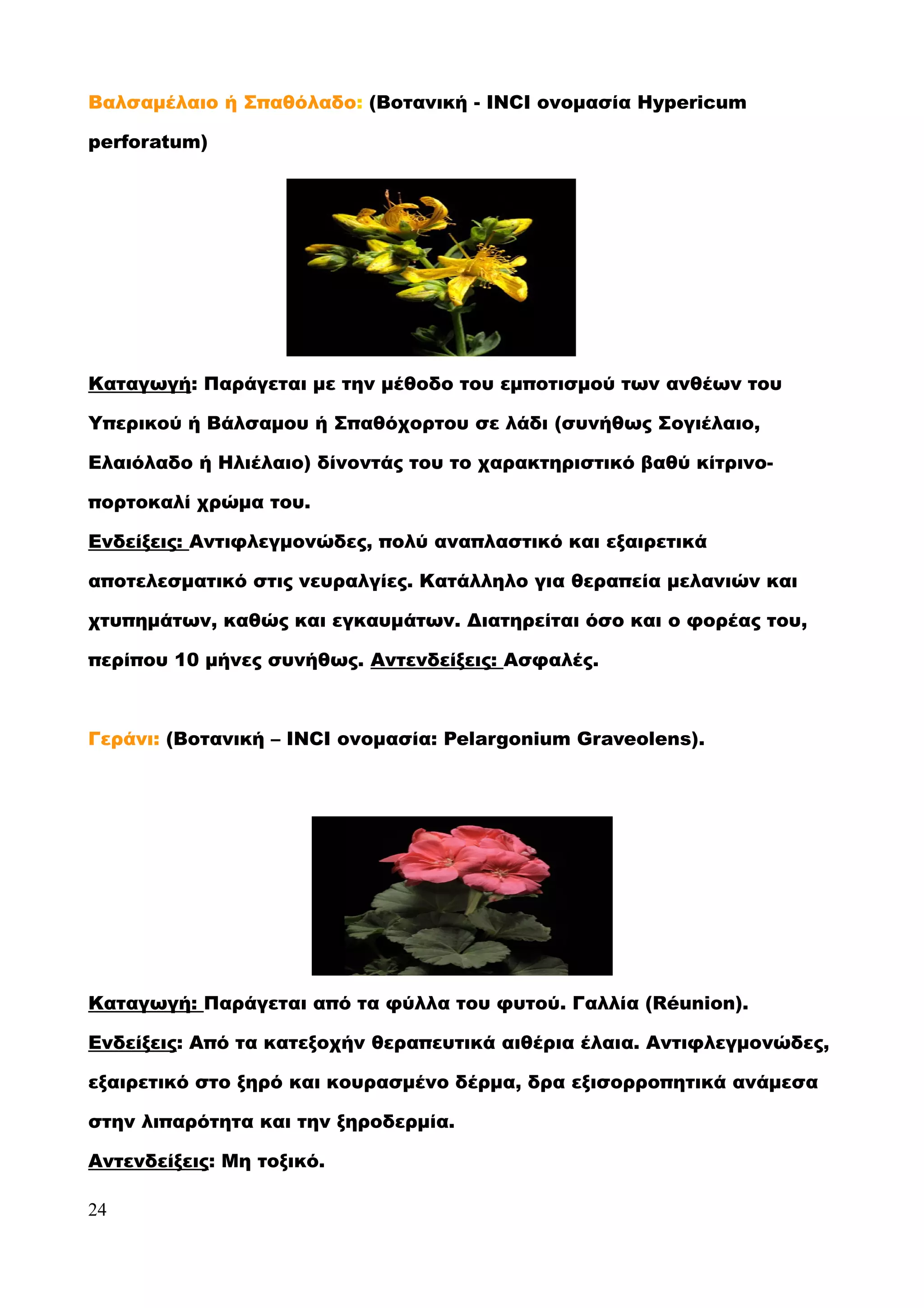 επιχειρηματικο σχεδιο μελιρρυτου | PDF