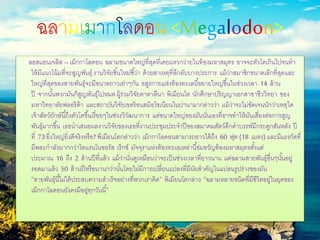 megalodon | PPT