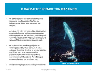 O Θαυμαστός Κόσμος των Φαλαινών | PPTX