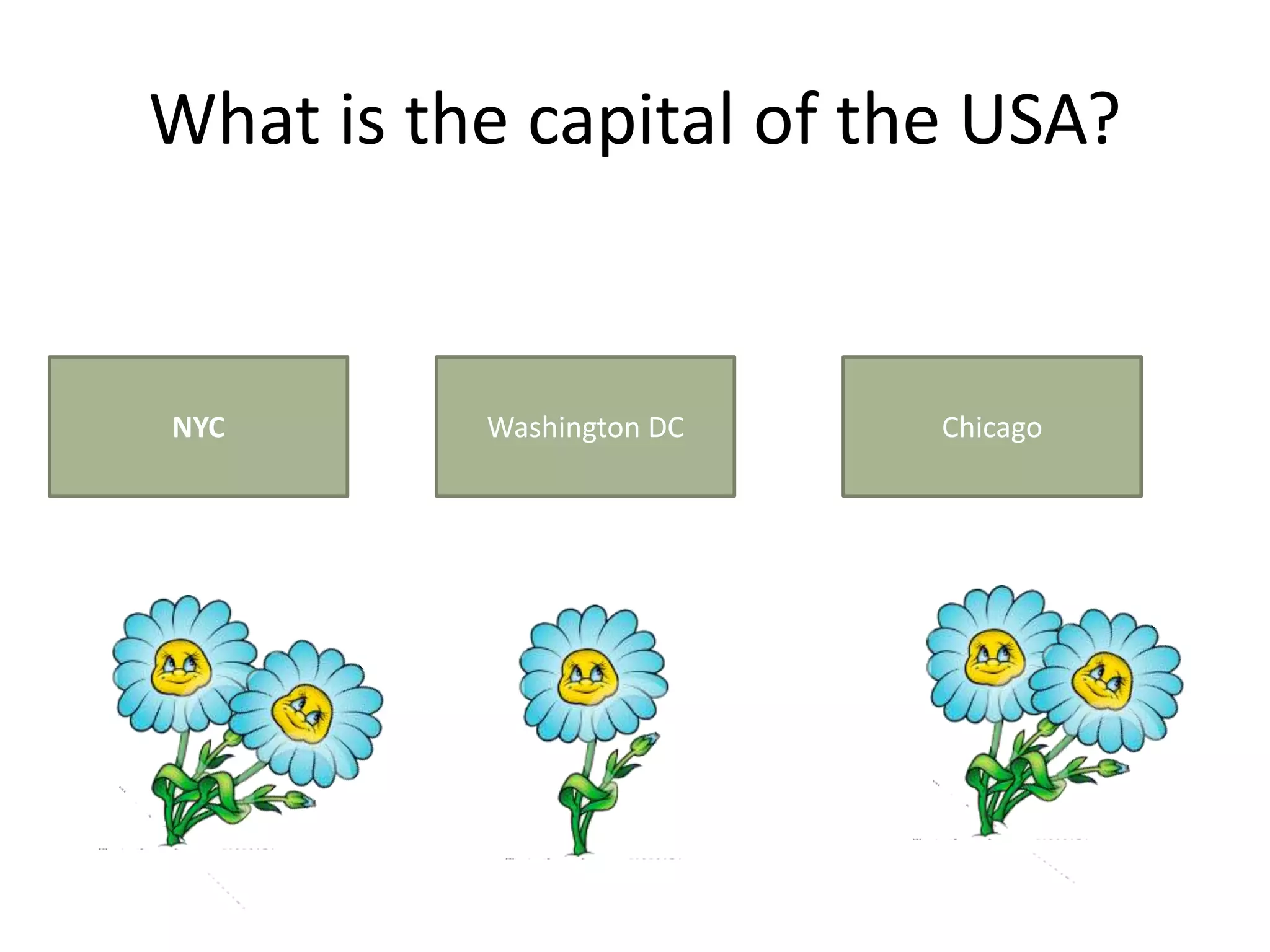 The USA presentation | PPTX