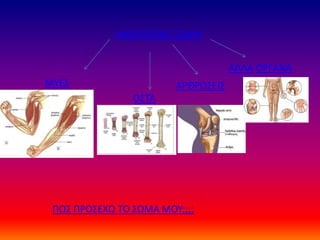 ανθρώπινο σώμα | PPT