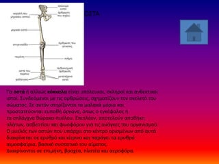 ανθρώπινο σώμα | PPT