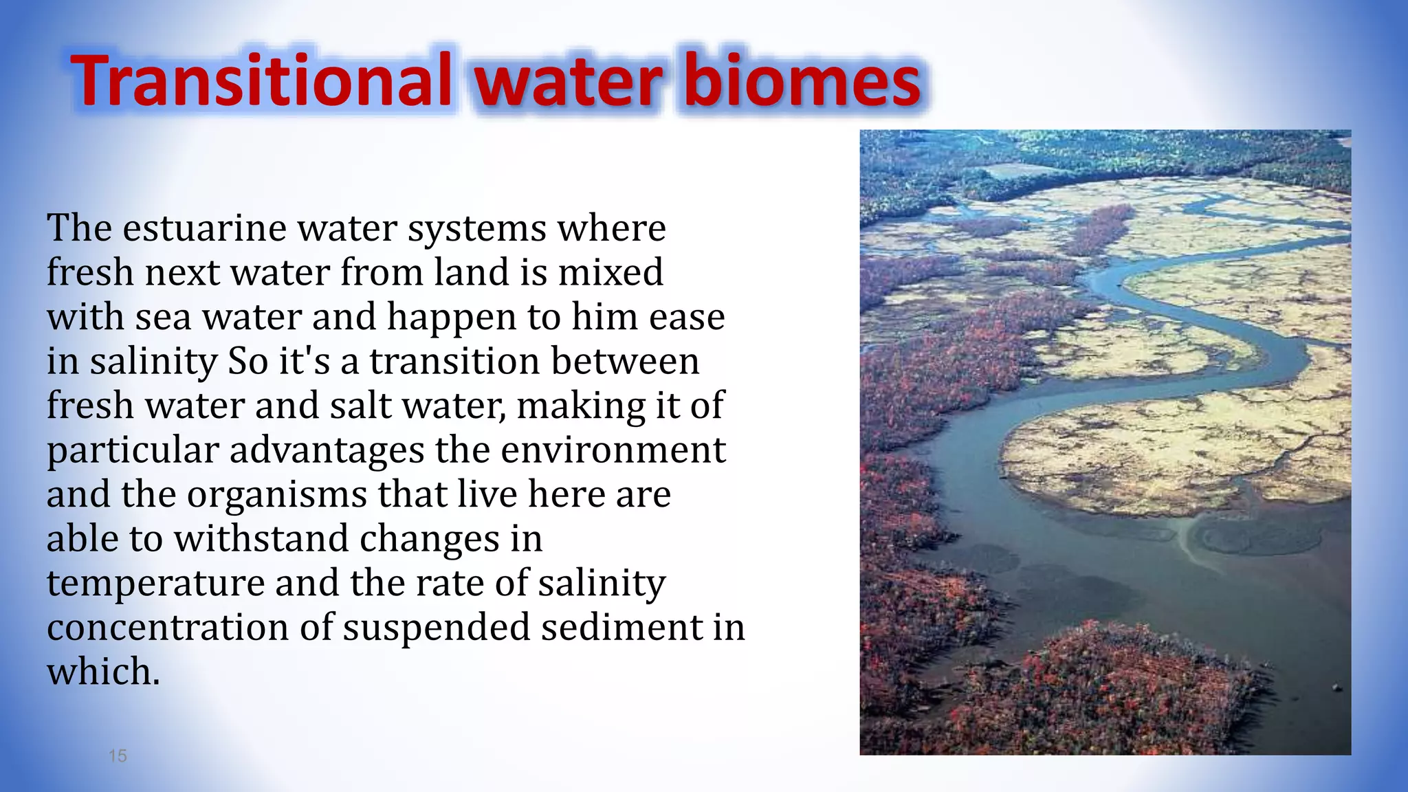 stratification of water environments - | PPTX