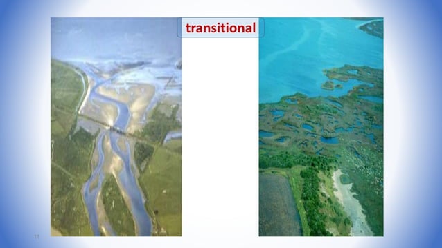 stratification of water environments - | PPTX | Geography | Science
