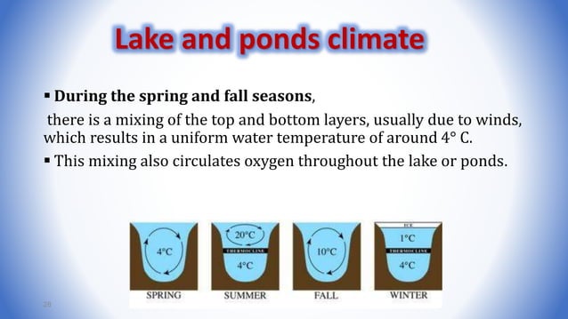 stratification of water environments - | PPTX | Geography | Science