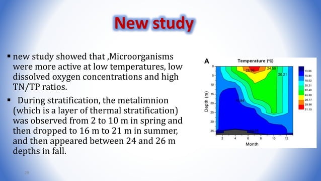 stratification of water environments - | PPTX | Geography | Science