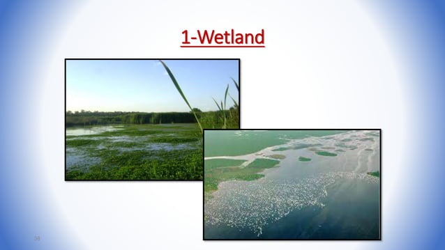 stratification of water environments - | PPTX | Geography | Science