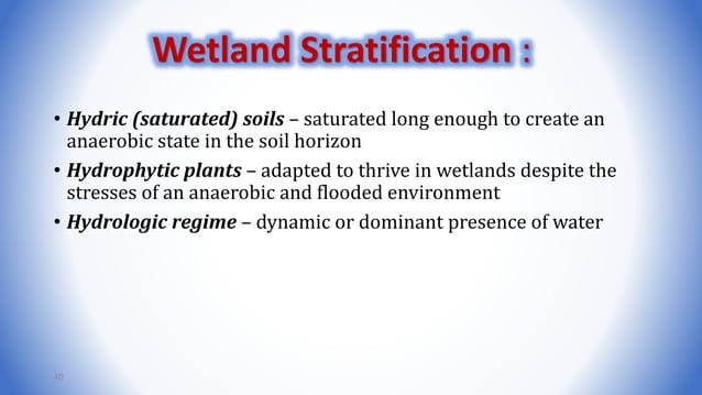 stratification of water environments - | PPTX | Geography | Science