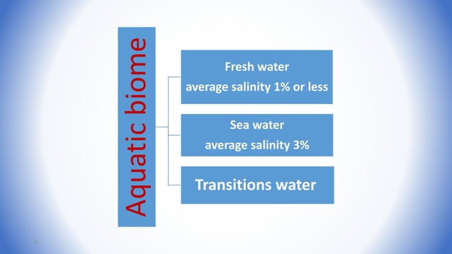stratification of water environments - | PPTX | Geography | Science