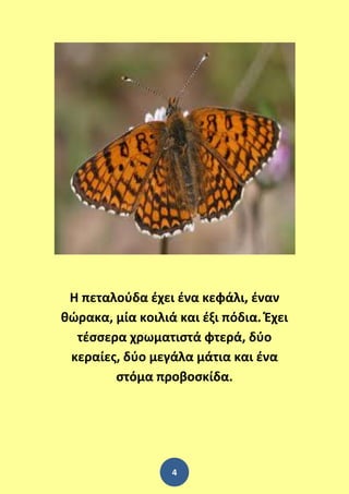 η χρωματιστη πεταλουδα | PDF