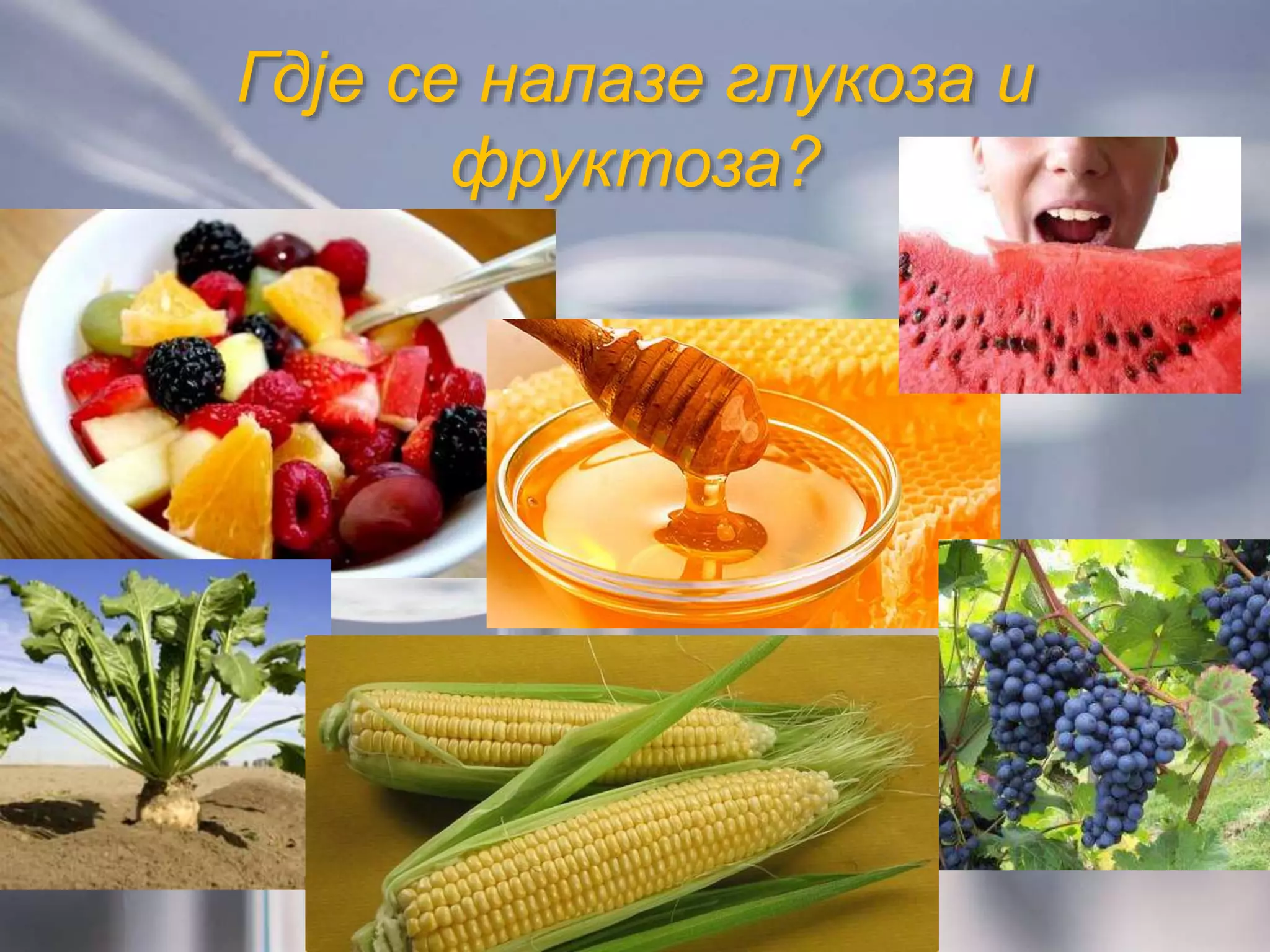 Monosaharidi - glukoza i fruktoza. | PPTX