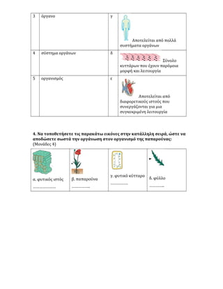 Θεματα εξετασεων Βιολογιας Γυμνασιου (Ταξεις Α, Β, Γ) | DOC
