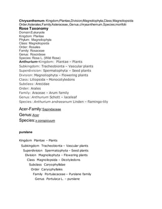 DOCX