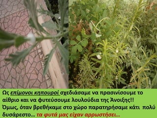 ο κηπος μας την άνοιξη | PPT