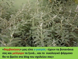ο κηπος μας την άνοιξη | PPT