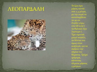 Τα ζώα της ζούγκλας | PPT