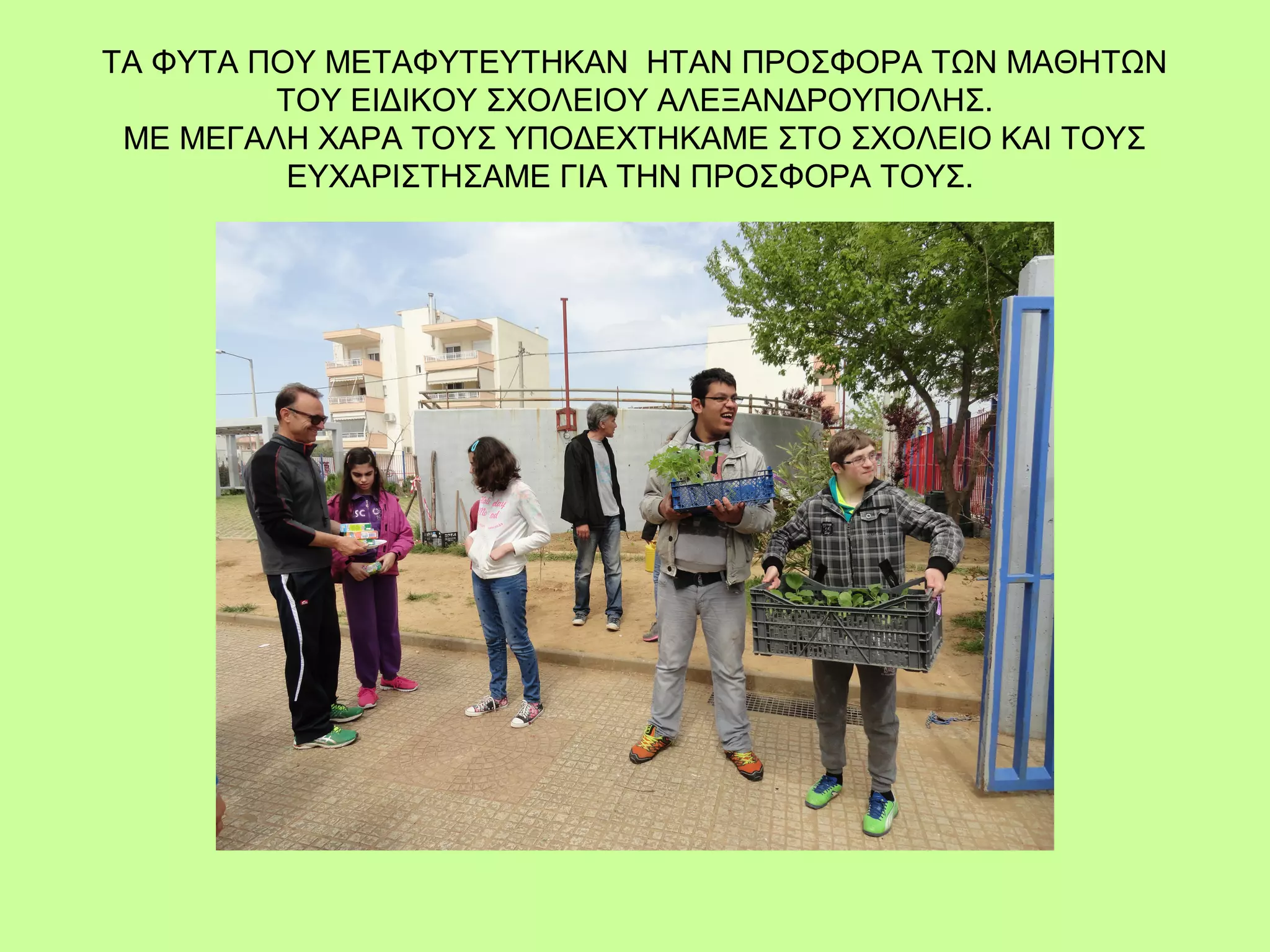 λαχανοκηπος | PPT