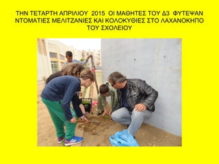 λαχανοκηπος | PPT