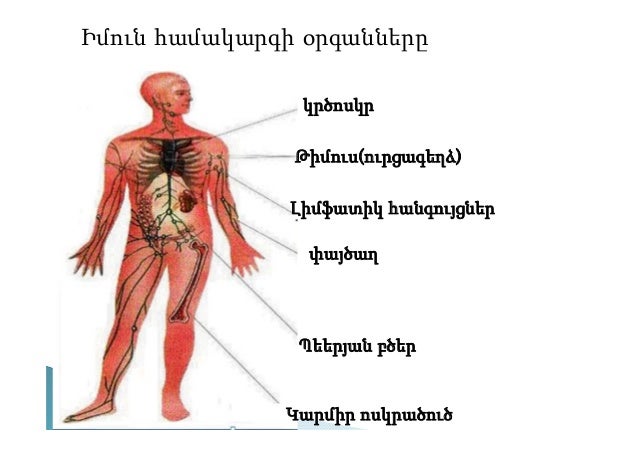 հաճախ հիվանդացող երեխաներ