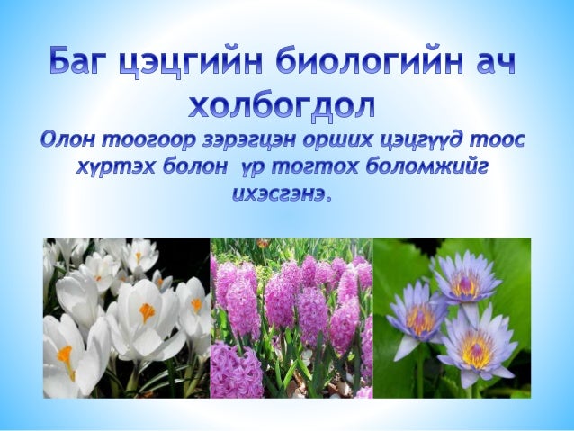 баг цэцэг түүний хэлбэрүүд