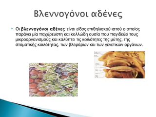 αμυντικοί μηχανισμοί του ανθρώπινου σώματος | PPT