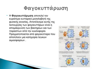 αμυντικοί μηχανισμοί του ανθρώπινου σώματος | PPT