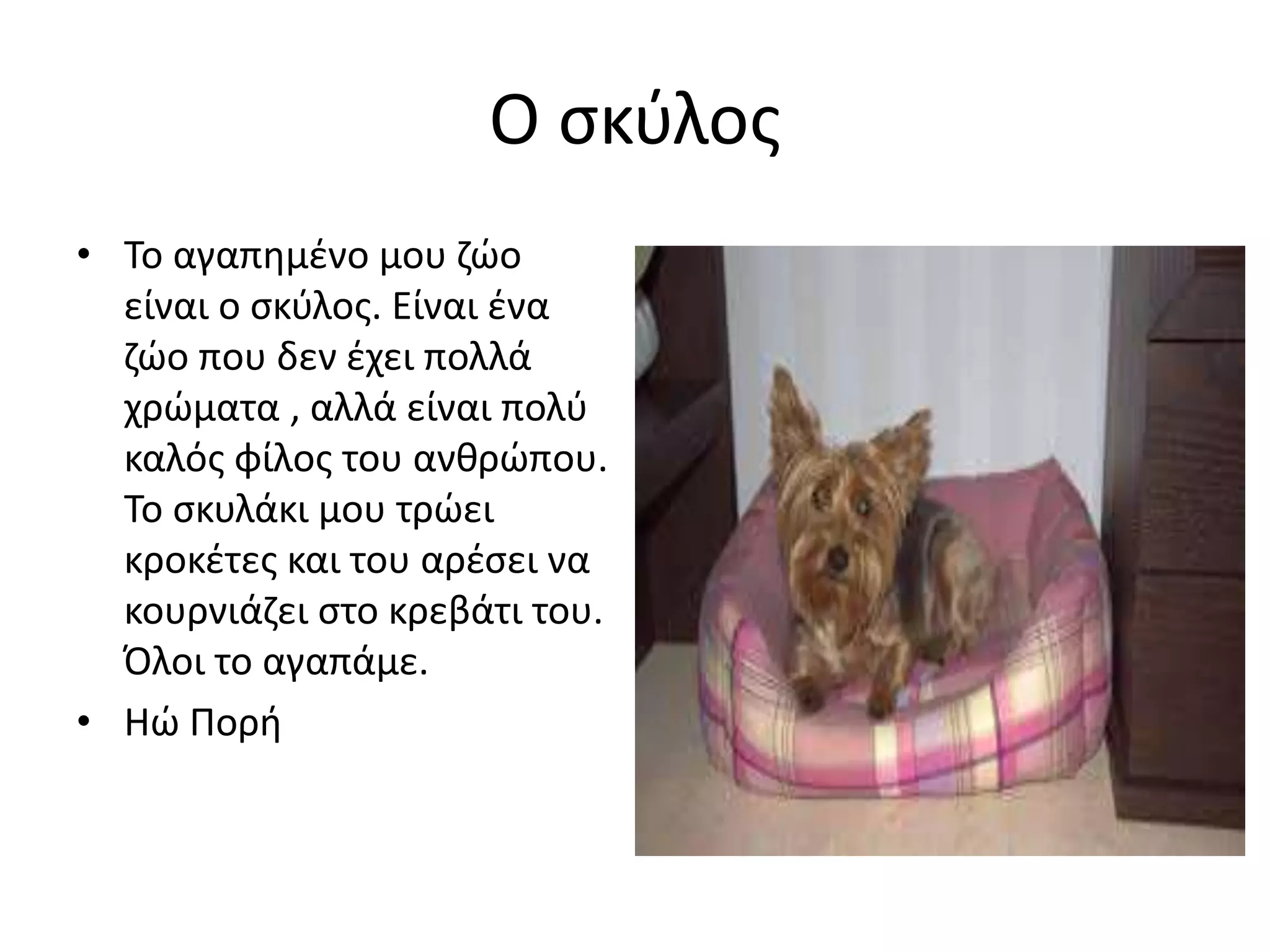 ΤΟ ΒΙΒΛΙΟ ΤΩΝ ΖΩΩΝ | PPT