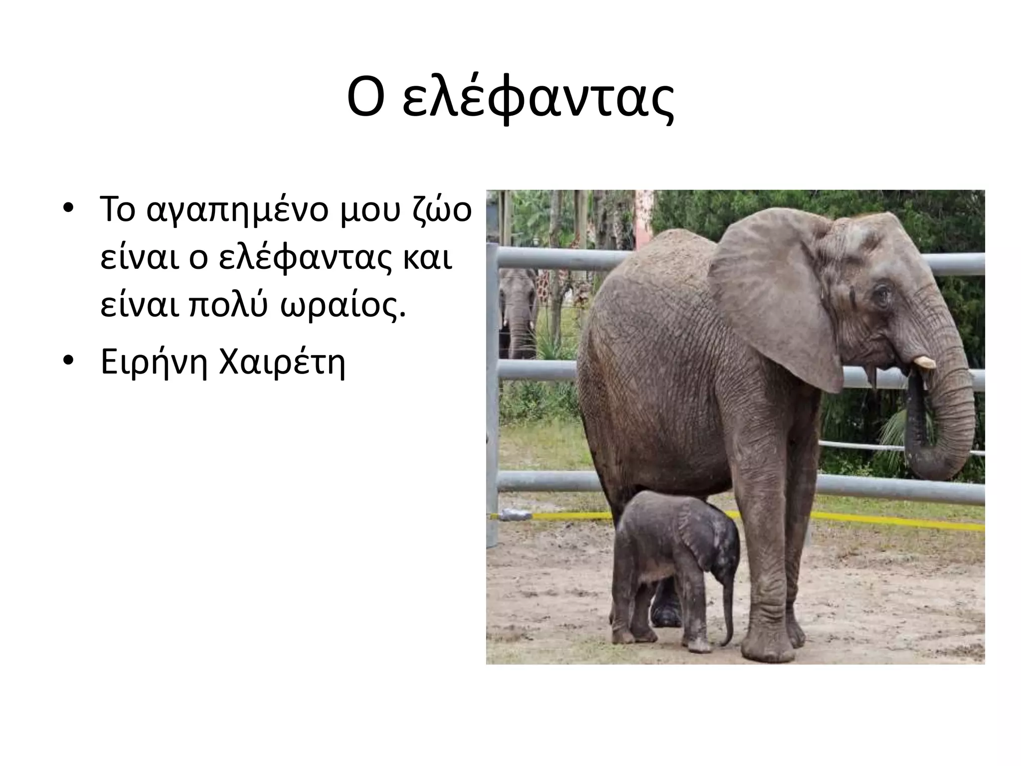 ΤΟ ΒΙΒΛΙΟ ΤΩΝ ΖΩΩΝ | PPT