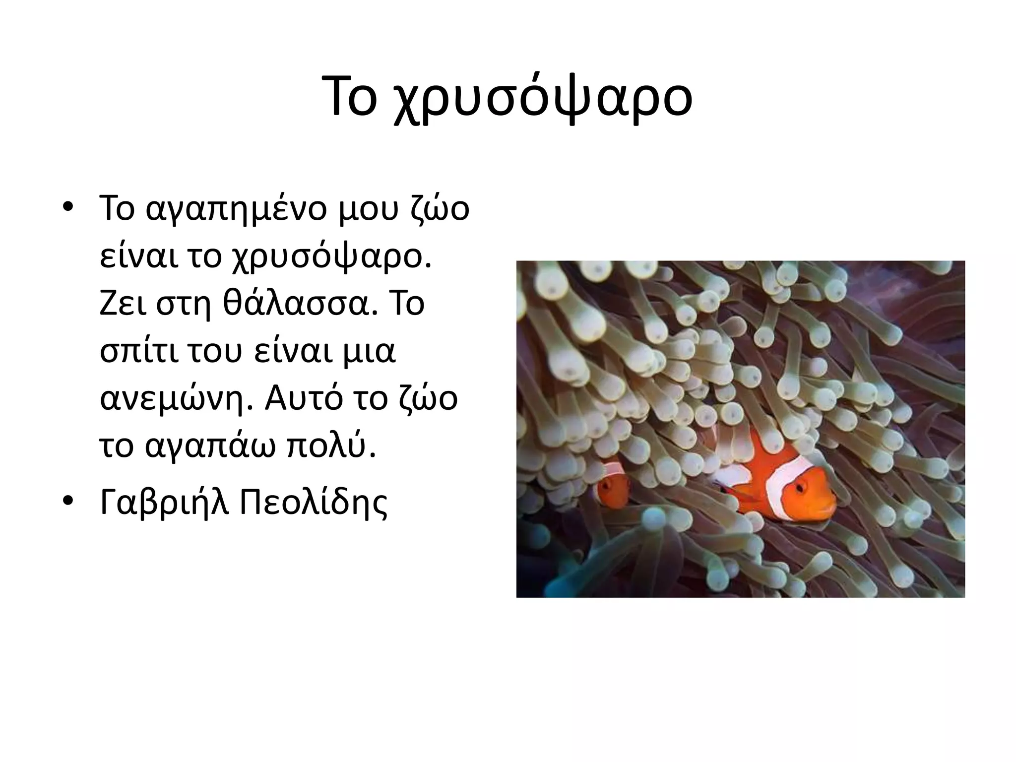 ΤΟ ΒΙΒΛΙΟ ΤΩΝ ΖΩΩΝ | PPT