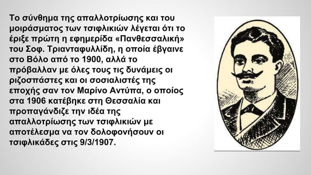 αγροτικο σταφιδικο | PPT | Free Download