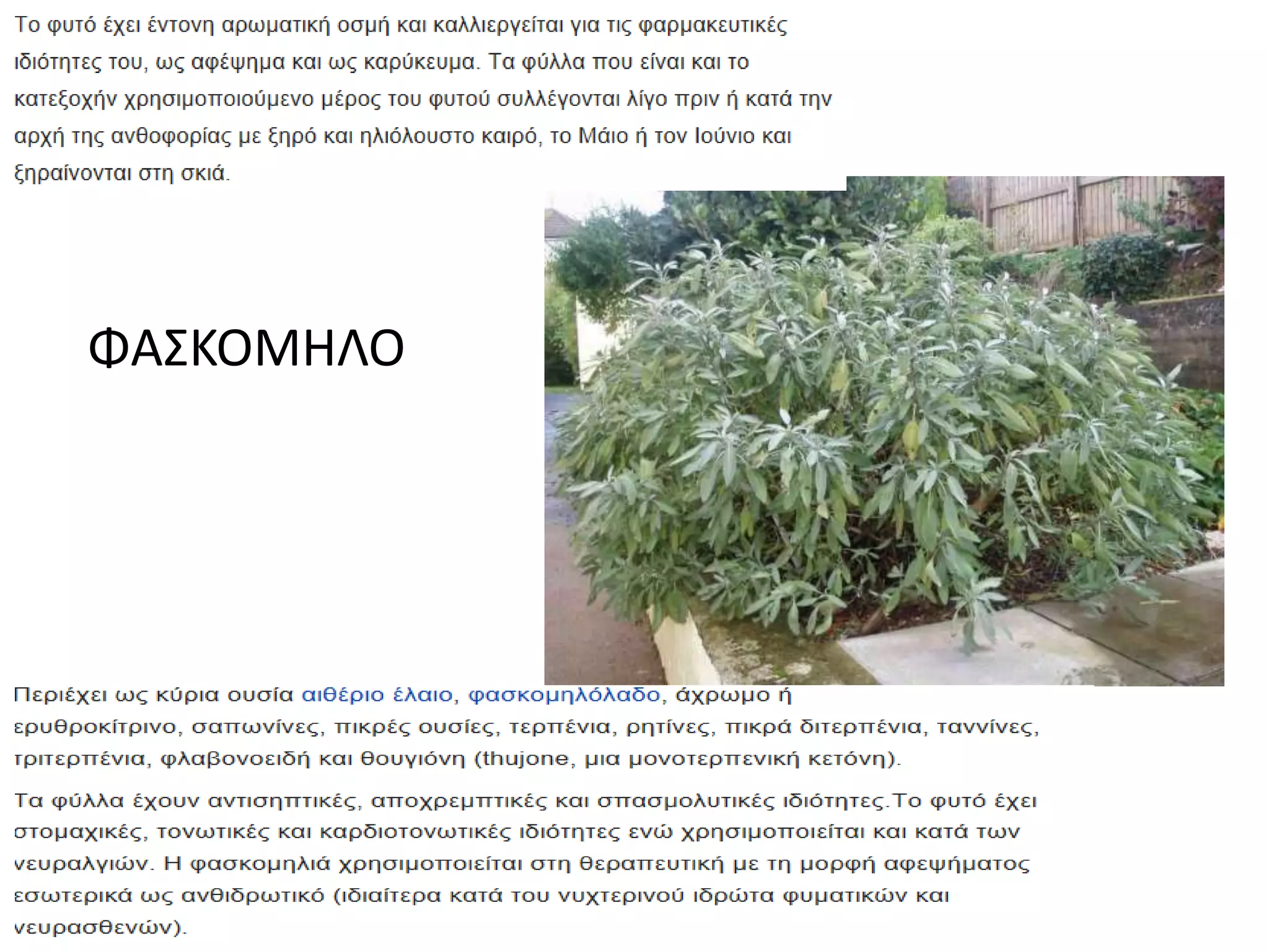 αρωματικα φυτα | PPTX