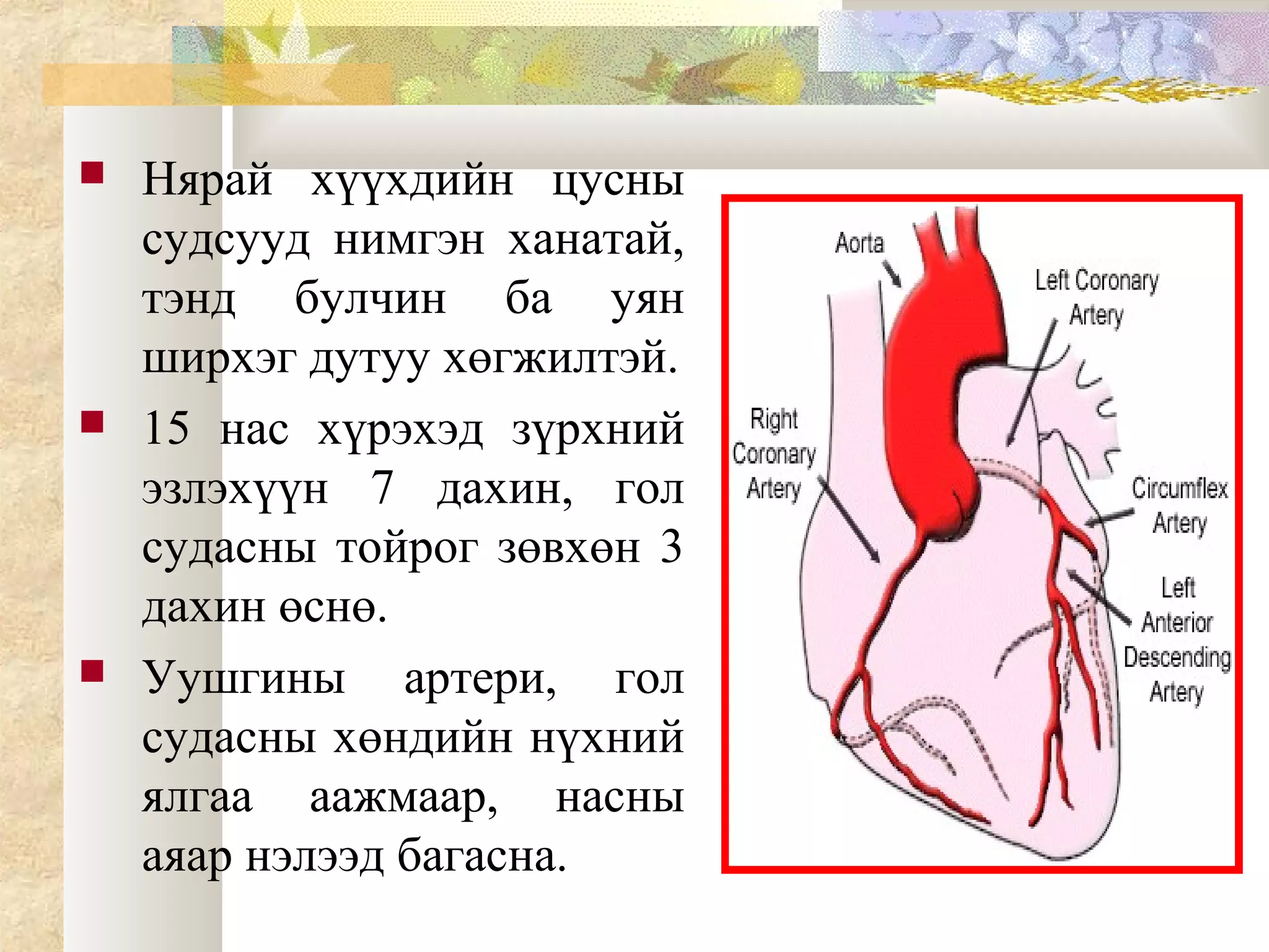 зүрх судас цусны онцлог Ppt