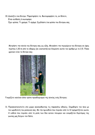 ΦΥΛΛΟ ΕΡΓΑΣΙΑΣ ΔΑΣΟΣ ΚΟΥΡΙ | PDF