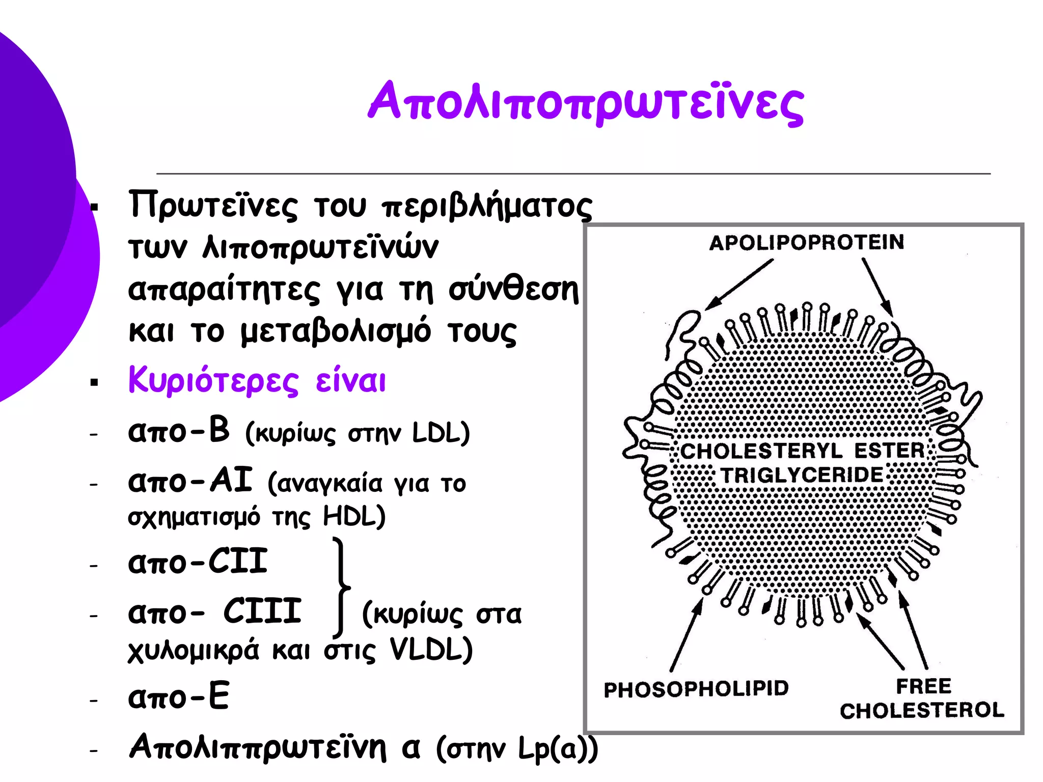 δυσλιπιδαιμιες στα παιδια διαγνωση και θεραπεια | PPT
