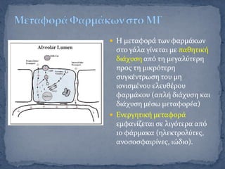 φαρμακα και μητρικος θηλασμος | PPT