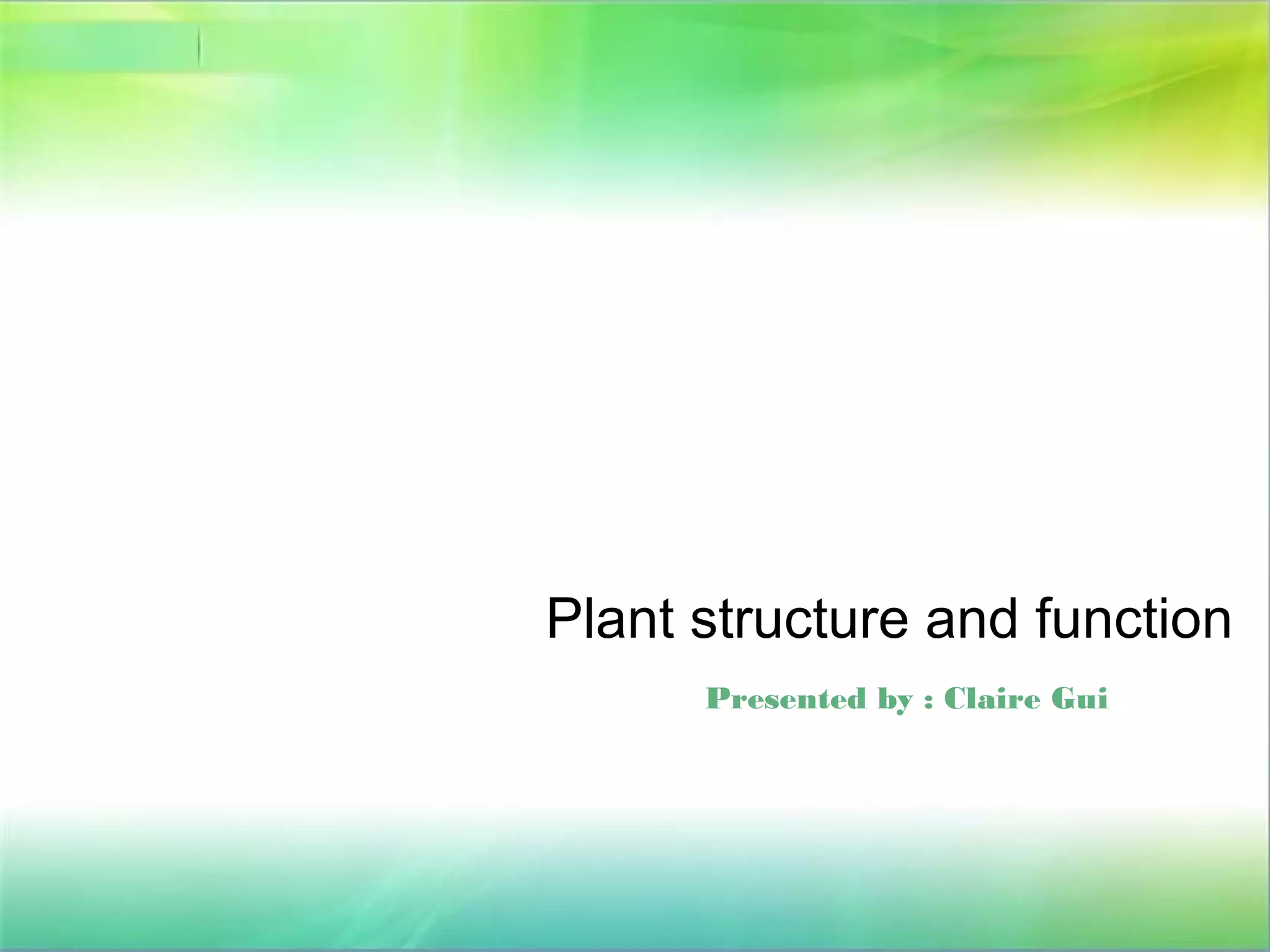 plant structure and function | PPT