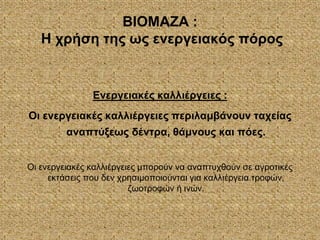 Παρουσίαση - Η βιομάζα ως ενεργειακός πόρος | PPT
