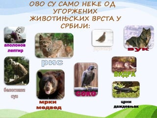 Животињски и биљни свет србије | PPTX