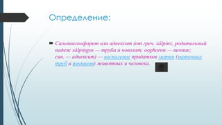 презентация ковалевская | PPT