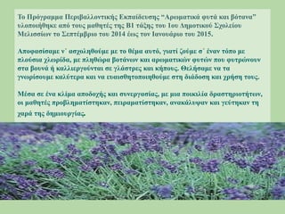 Αρωματικά φυτά και βότανα | ODP
