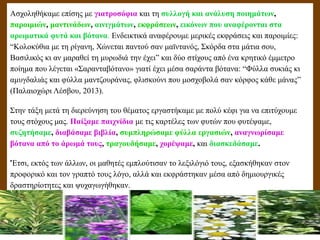 Αρωματικά φυτά και βότανα | ODP