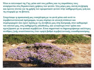 Αρωματικά φυτά και βότανα | ODP