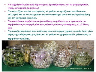 Αρωματικά φυτά και βότανα | ODP